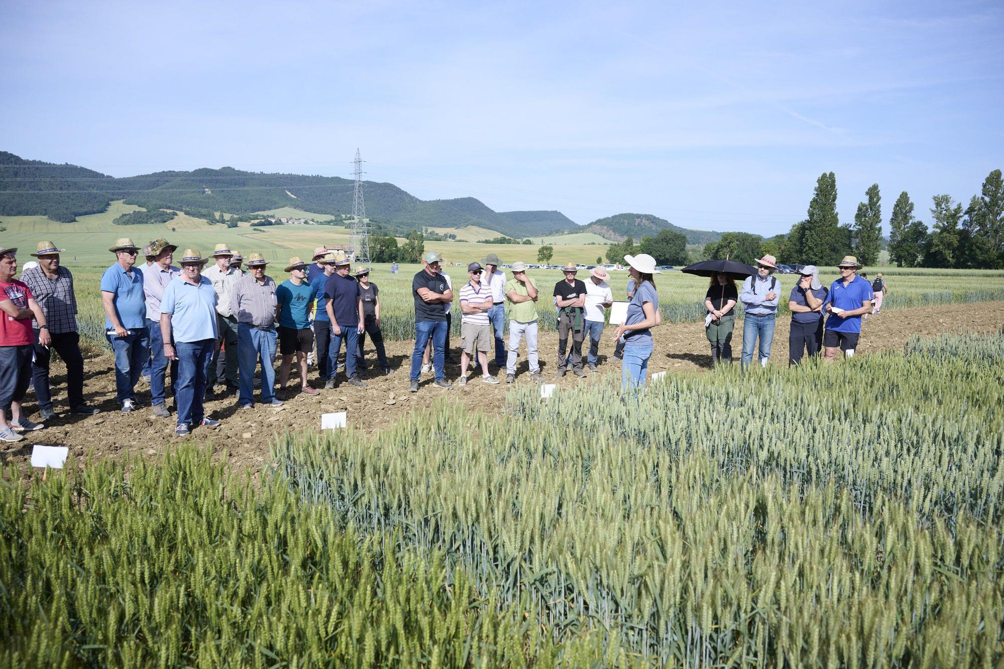 Visita a la finca experimental de INTIA en Mendioroz