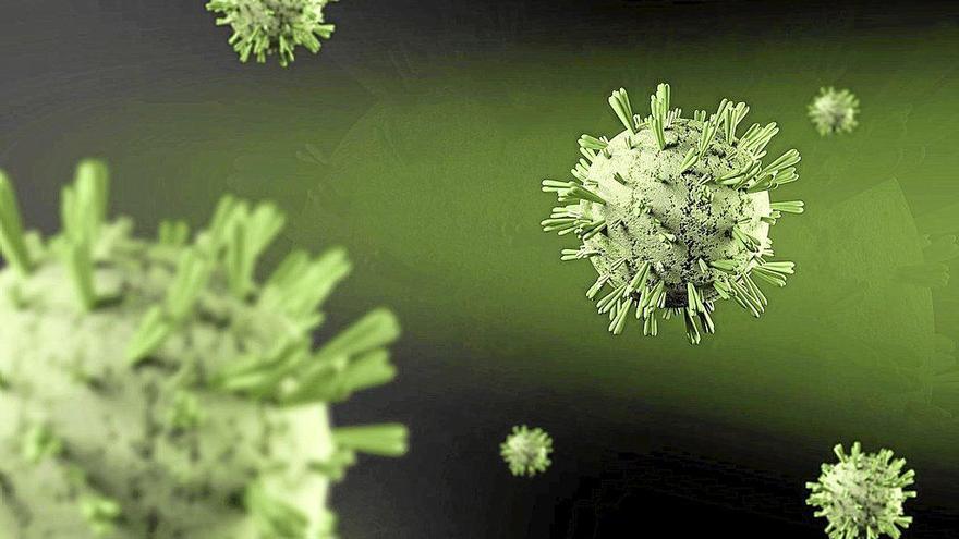 Guía para entender las células T