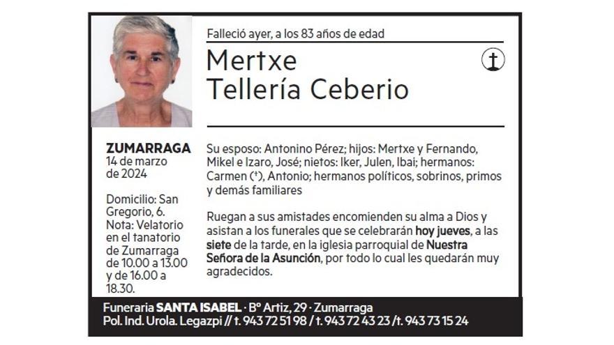 MERTXE TELLERIA CEBERIO