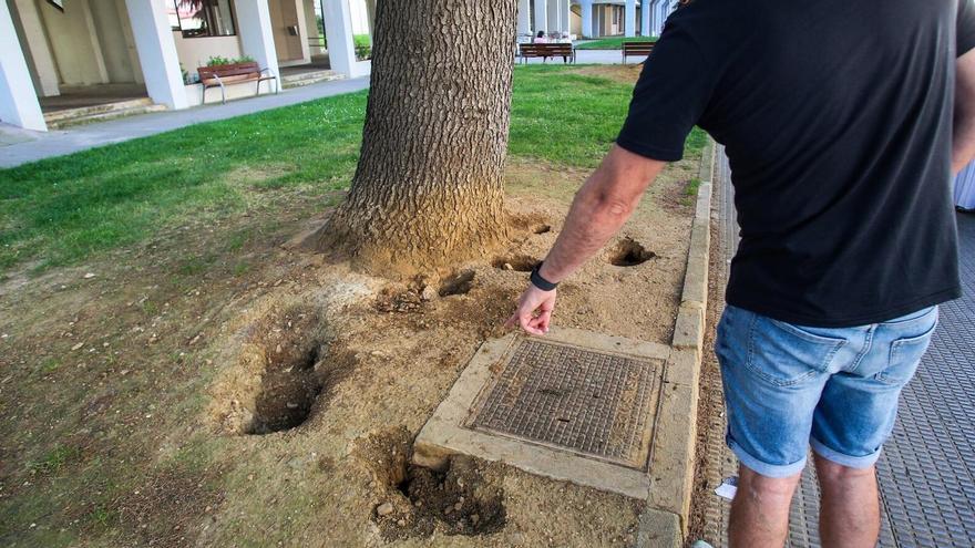 Ratas en Barañáin: vecinos denuncian la presencia de roedores en la ...