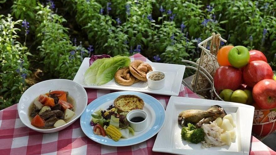 Adinekoen elikadurari buruzko gida bat argitaratu du EHUk