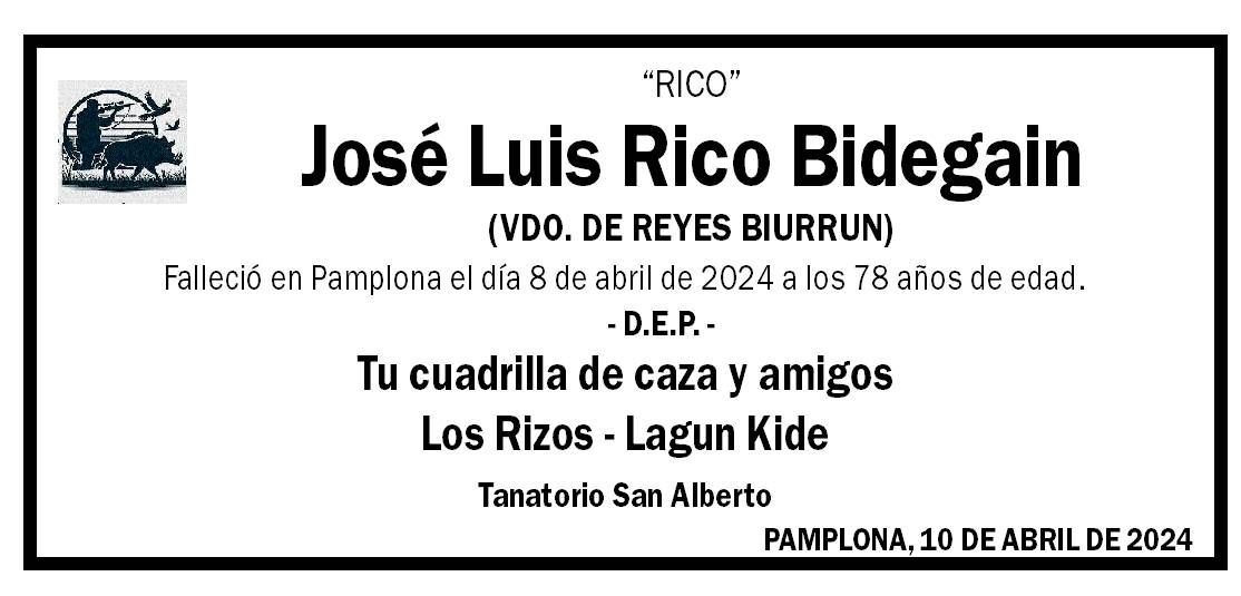 José Luis Rico Bidegain