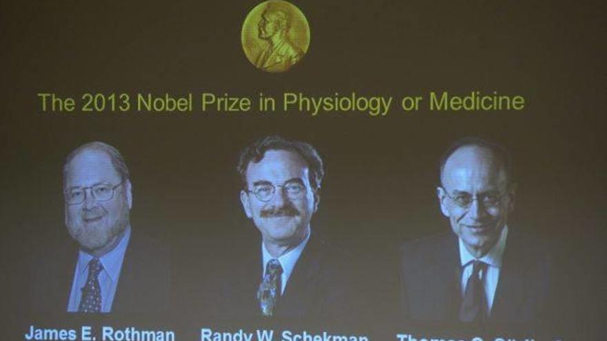 Dos estadounidenses y un alemán comparten el Nobel de Medicina 2013