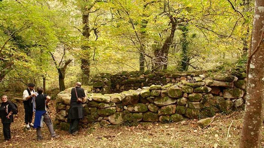 Orozko acoge la mitad de las ericeras de castañas de Euskadi