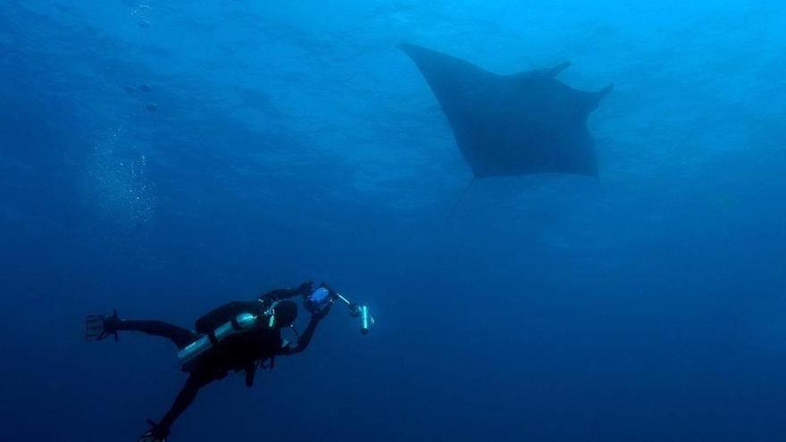 "Seaway", una serie para concienciar desde la belleza submarina