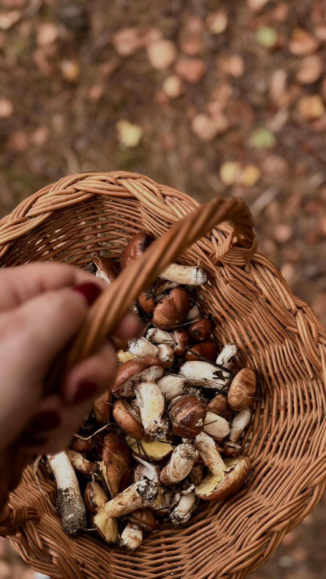 Recetas con judías que sorprenden en invierno… y en verano