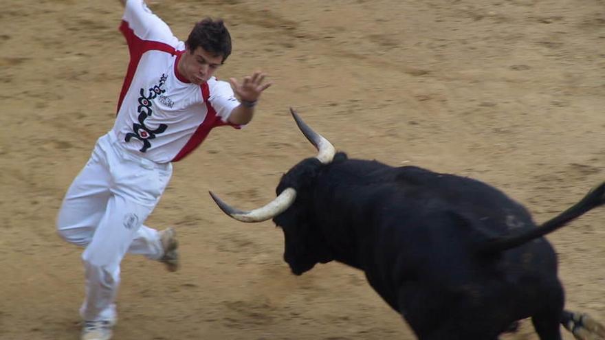 Una feria "torista" en Tafalla con amplia representación navarra