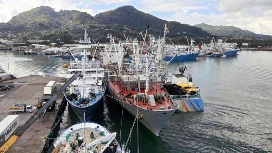 AZTIk Indikoko atunaren iraupena bermatzeko dihardu Seychellesen