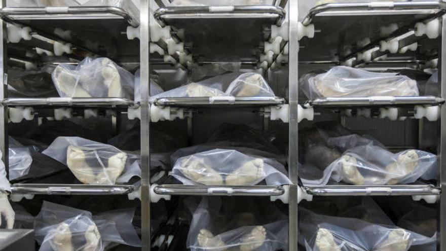 La UPV/EHU tiene 100 cadáveres para la enseñanza y descarta un hacinamiento