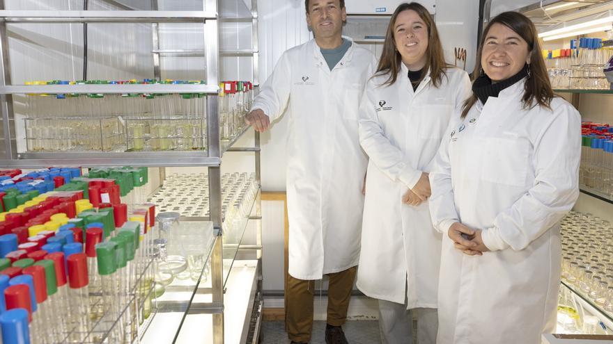 Teknika berri batek ozeanoen oinarri diren mikroorganismoen ezkutuko ...