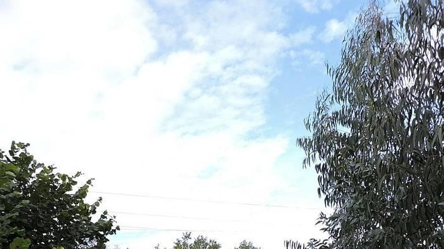 Zeanuri eta Bedia arteko "Arratiako Ibaiertzetatik" 20 kilometroko ...