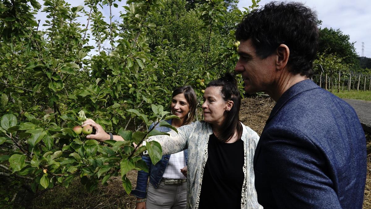 BBK destina un millón de euros a apoyar 109 ferias en Bizkaia y al ...