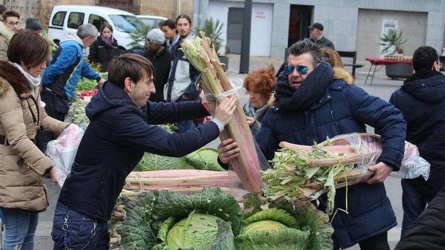 Fiesta del cardo rojo