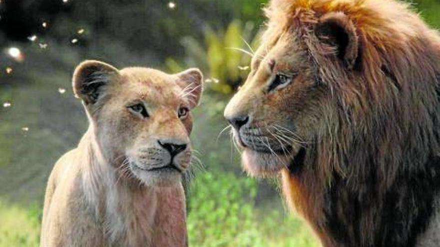 ‘El rey León’, o ‘Simba’ en busca de la valentía
