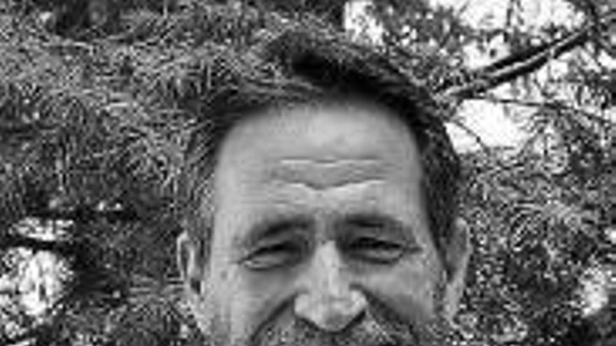 Nobel de Química para los creadores de proteínas con la teoría de la ...